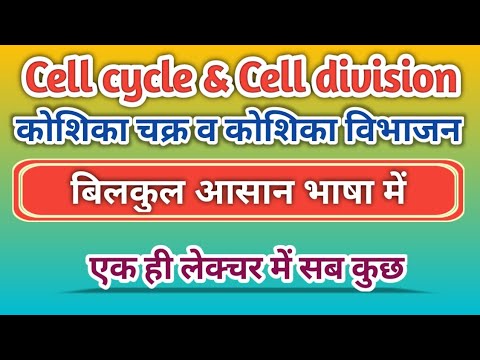 Cell Cycle and Cell Division Best Lecture | Cell cycle | Cell Division ...