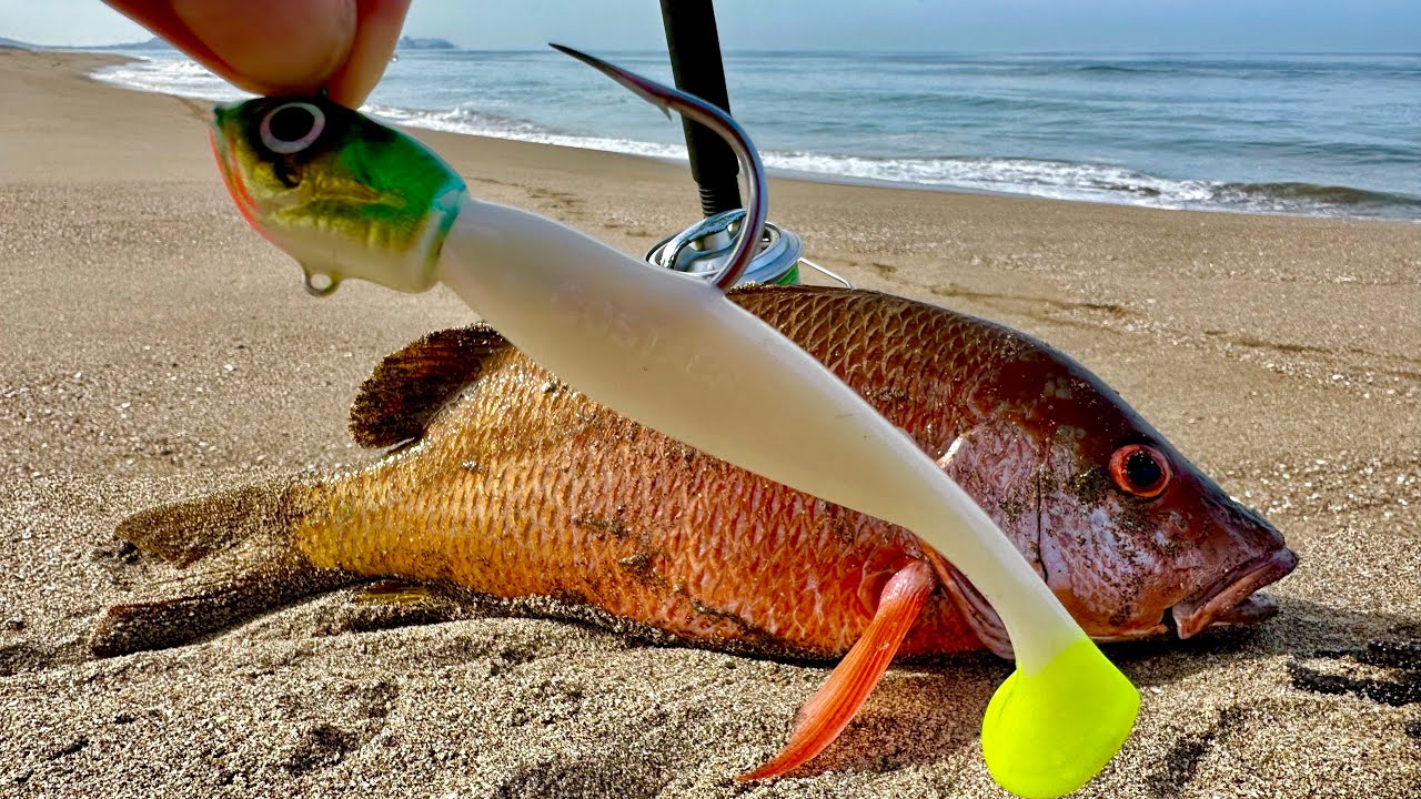 TIPS de PESCA de PLAYA || CONSEJOS de pesca || COMO PESCAR || PARGO ...
