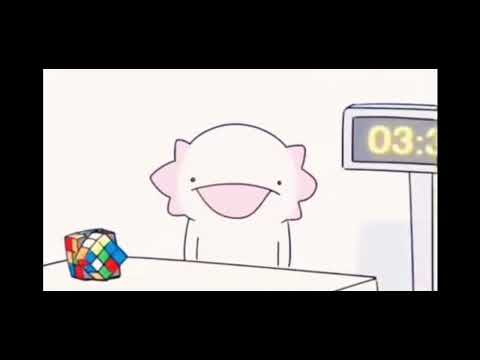 How to solve a Rubiks cube (with axolotl)￼￼￼
