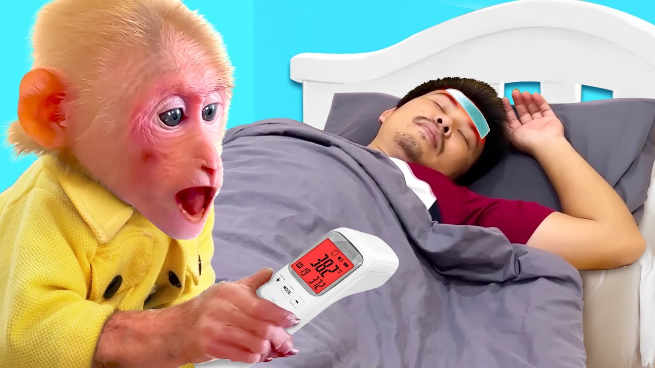 So Cute! Baby Monkey Bibi Takes Care of His Dad After He Gets Sick ...