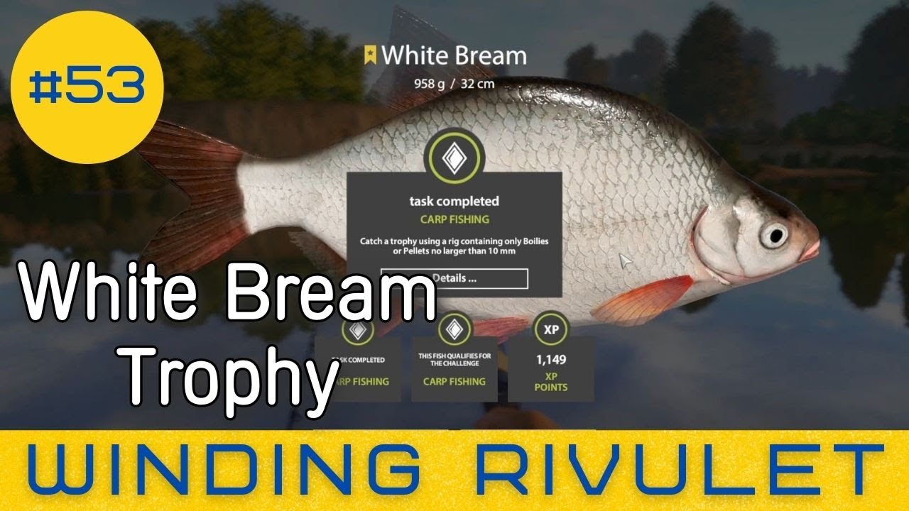 Russian Fishing 4 - Winding Rivulet - White Bream Trophy - #53 - YouTube
