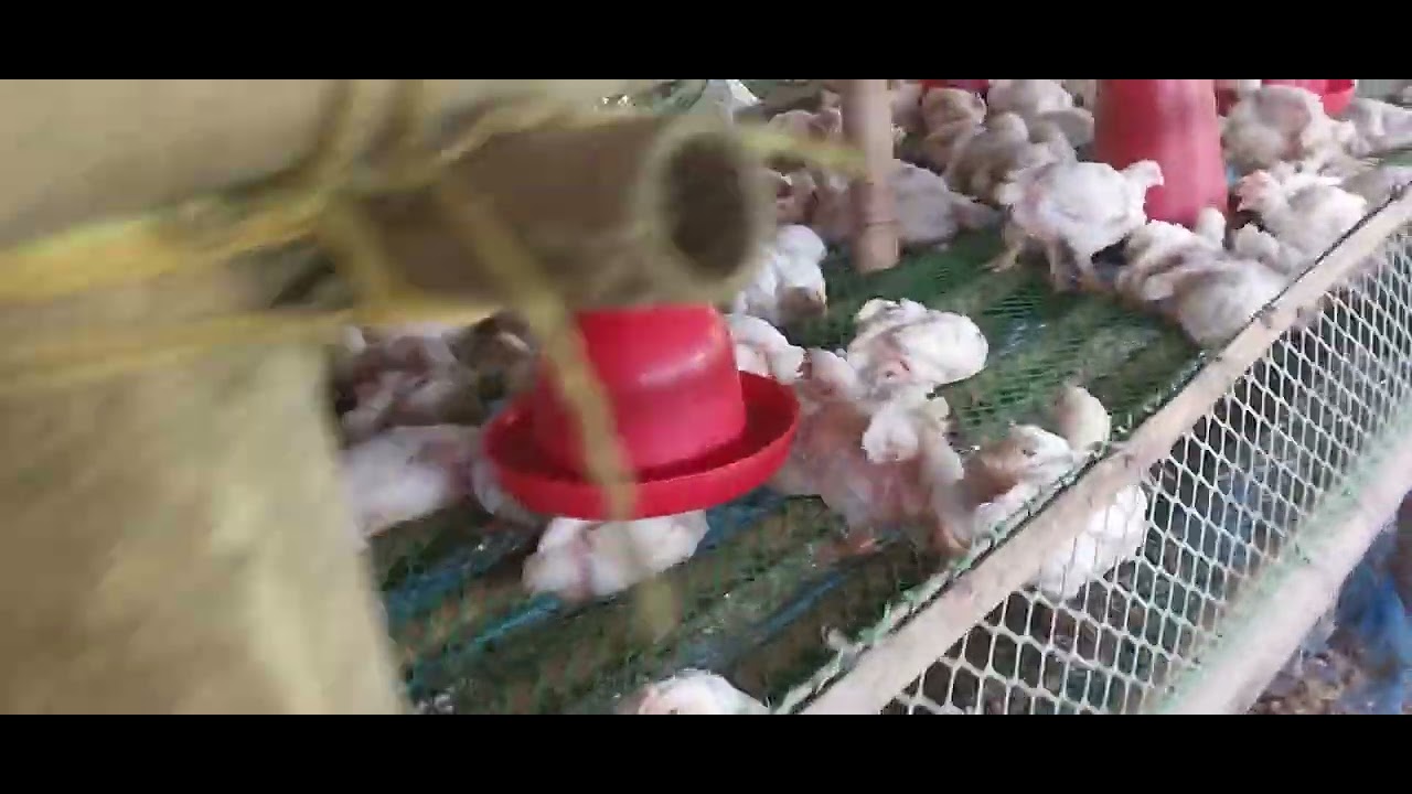 Two step FARM - YouTube