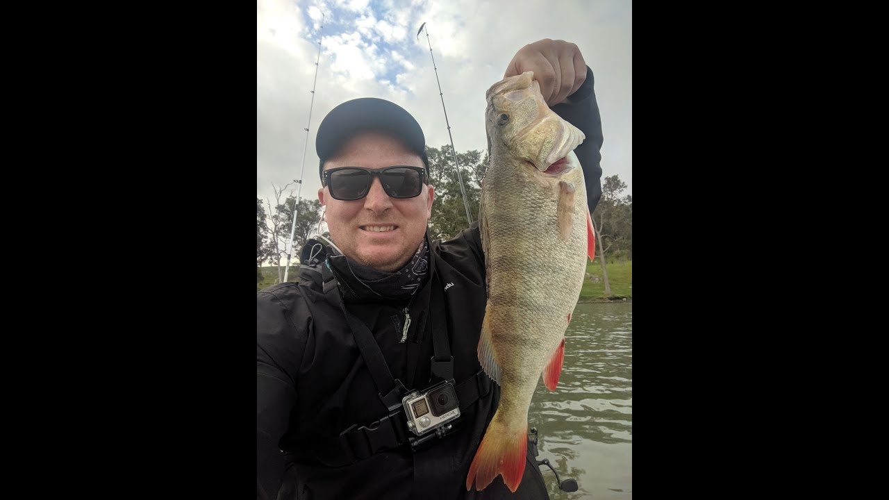 Big Redfin - Western Australia - Catch and Cook - YouTube