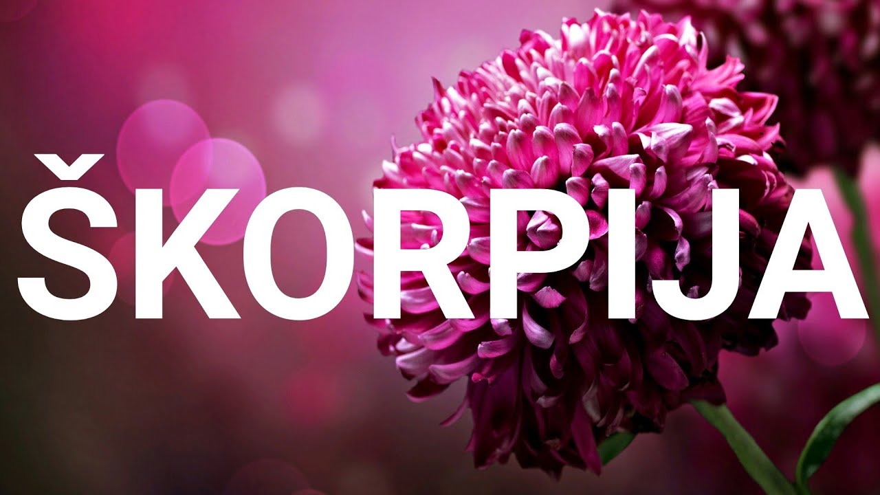ŠKORPIJA AVGUST 2023. 💫Otpustite Prošlost i okrenite se Budućnosti 💫ASTRO DOBRA VILA - YouTube