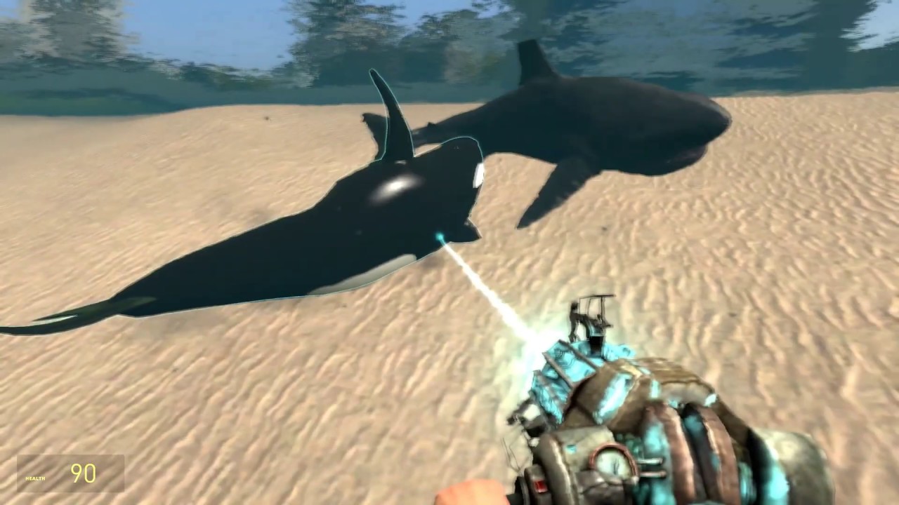 gmod Orca the Killer Whale: Orca Vs Great White Shark - YouTube