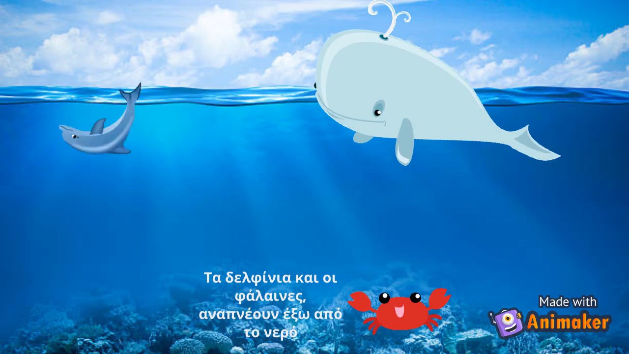 Τα ζώα της θάλασσας. - YouTube