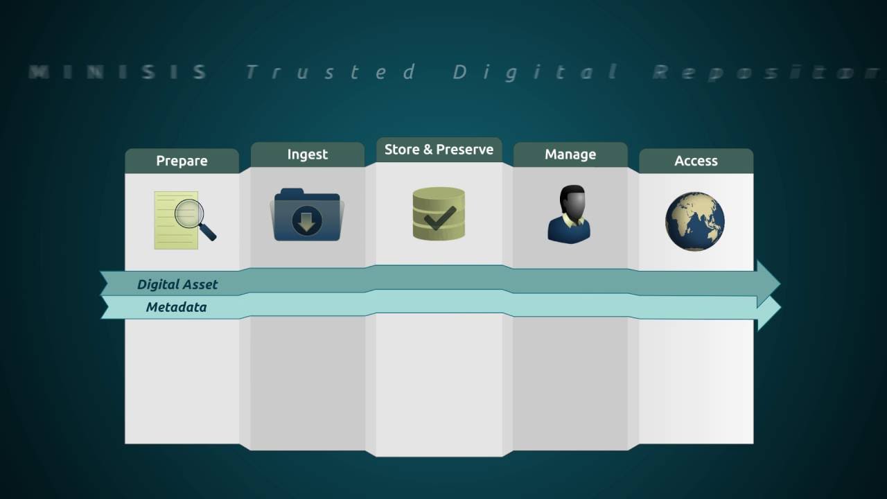 MINISIS TDR - YouTube