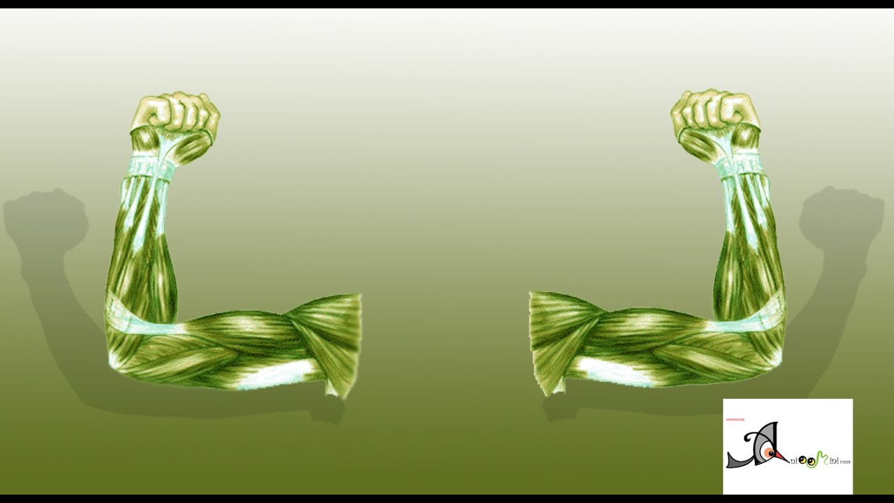 #ClickAcademyofDigitalArt MAYA Rigging - Hand Rig with IK & FK switch I ...