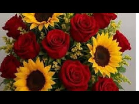 mursheda You Tube is live! - YouTube