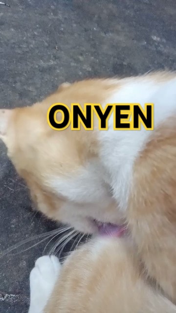 Onyen #shorts - YouTube
