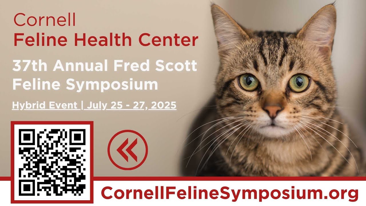 The Cornell Feline Health Center: 2025 Fred Scott Feline Symposium ...