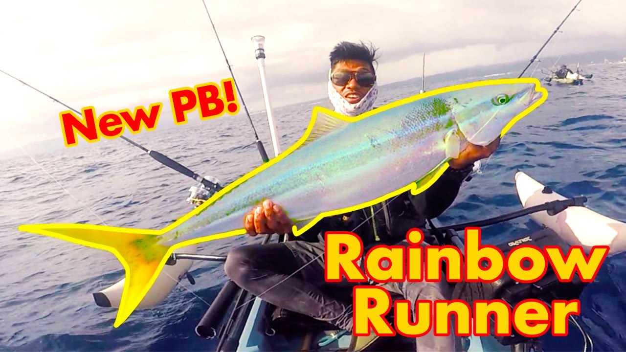 Catching a Massive Rainbow Runner! | Hawaiian Salmon | Kayak Fishing ...