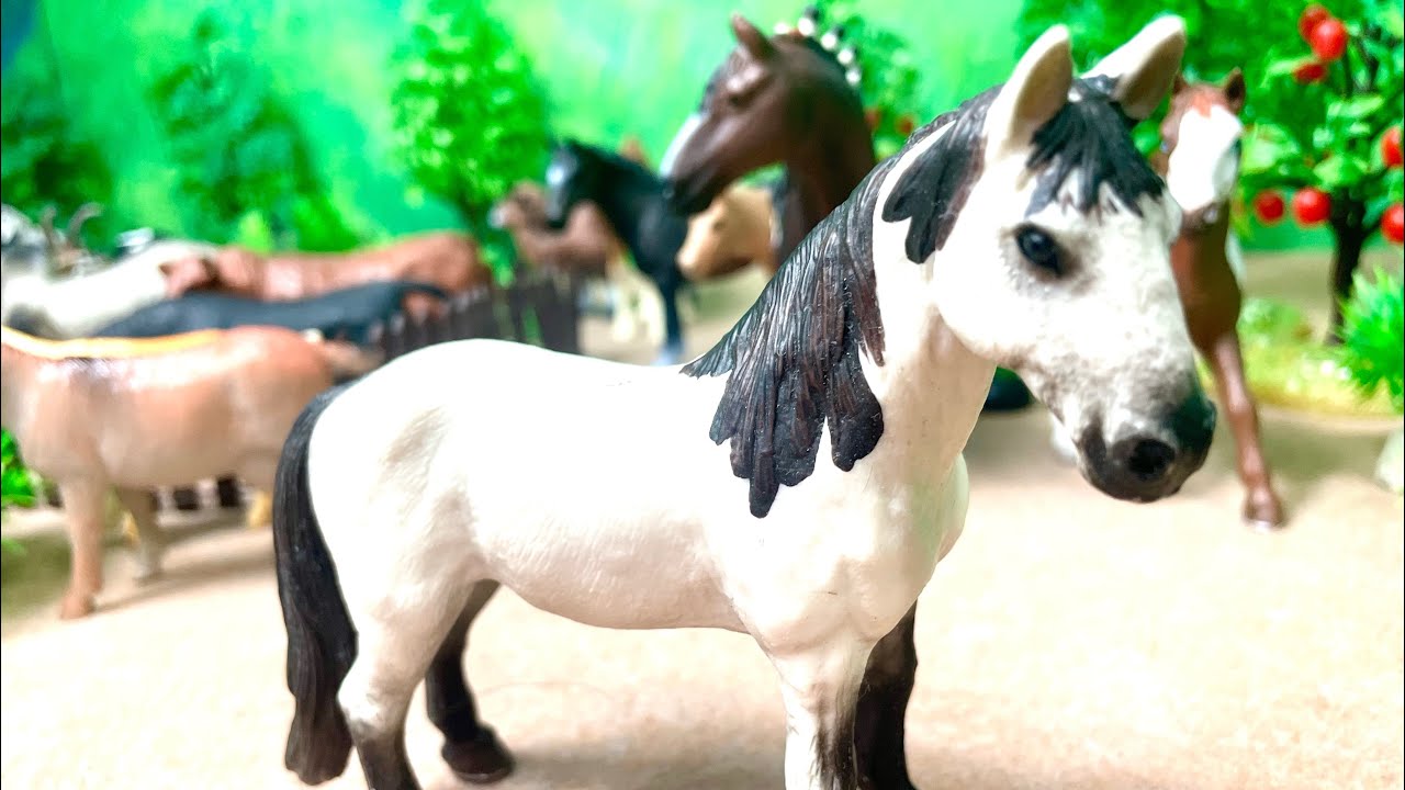 Amazing Animals All Around: A Fun and Exciting Adventure - YouTube