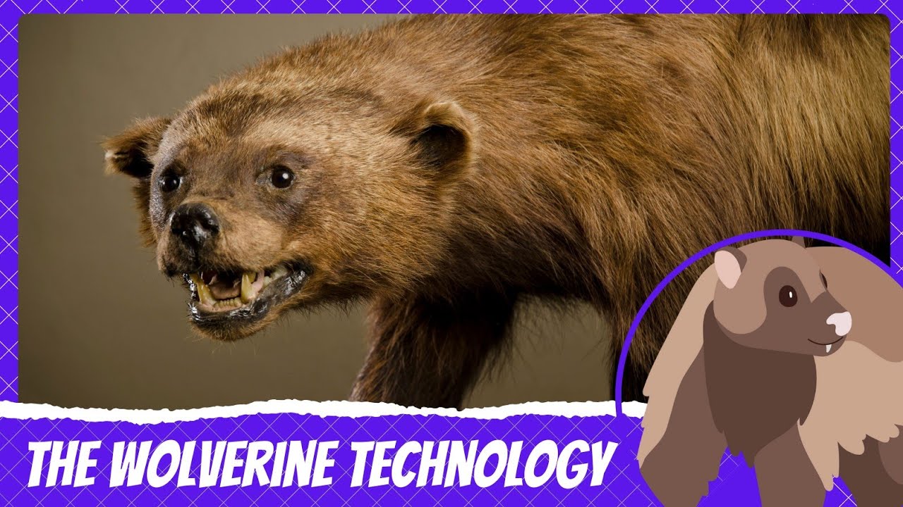 Self-Healing Materials: The Wolverine Tech - YouTube