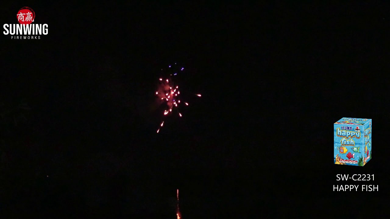 SW C2231 fish happy - YouTube