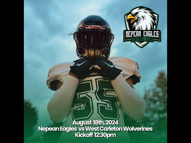 Nepean Eagles Logo Nepean Nighthawks News: Ice Hockey Players Fall In