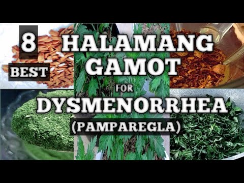 TOP 8 MEDICINAL PLANTS FOR DYSMENORRHEA || HALAMANG GAMOT PARA SA ...