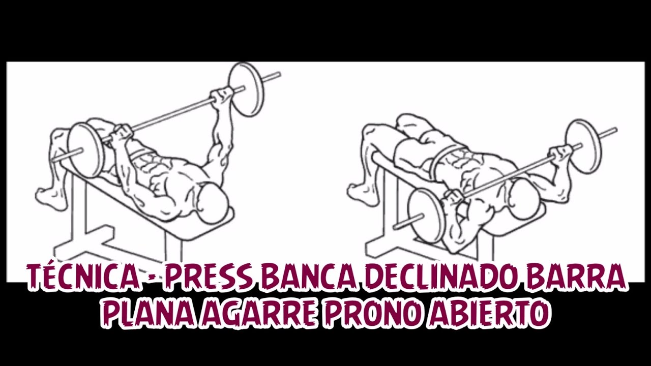 P594 - TÉCNICA Press banca declinado barra plana agarre prono abierto ...