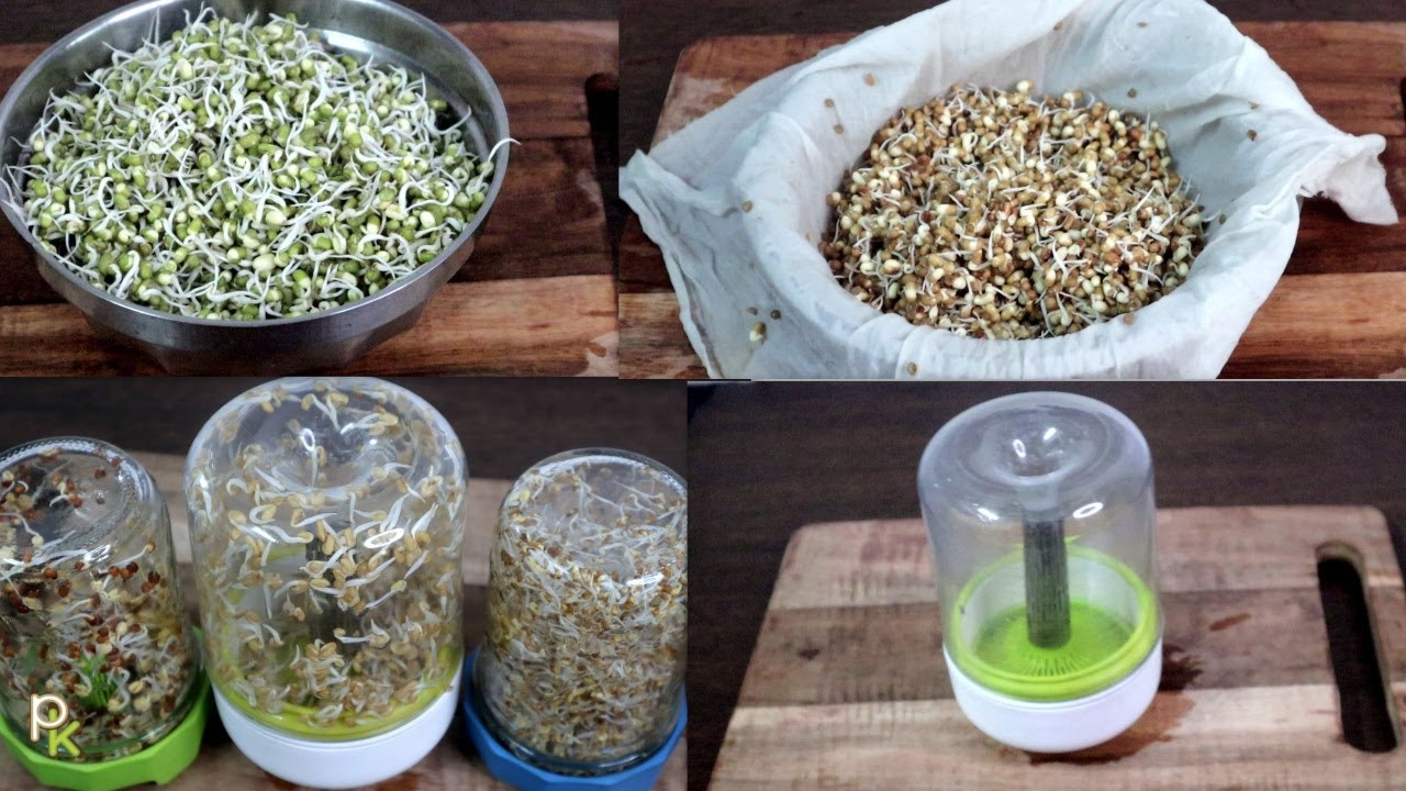 Sprouts-Super Food-How to Sprout Seeds in a Glass Jar at Home-Storing ...