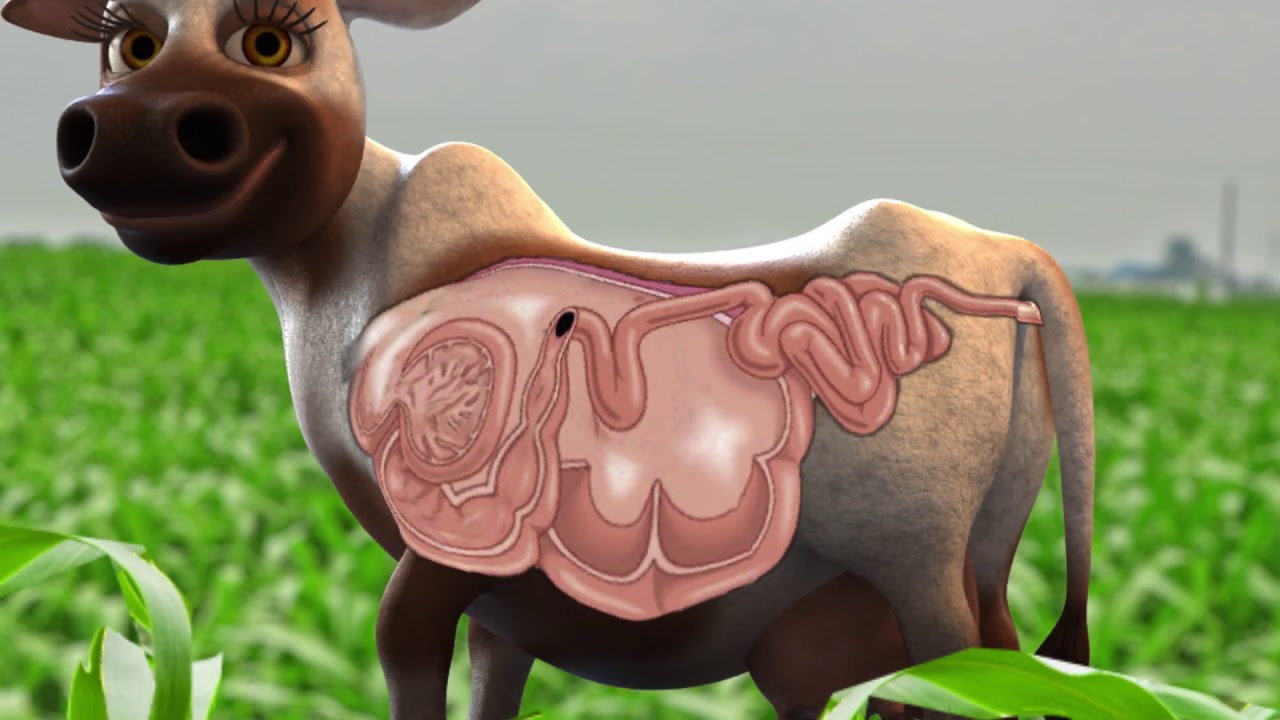 BMR Rocket - YouTube