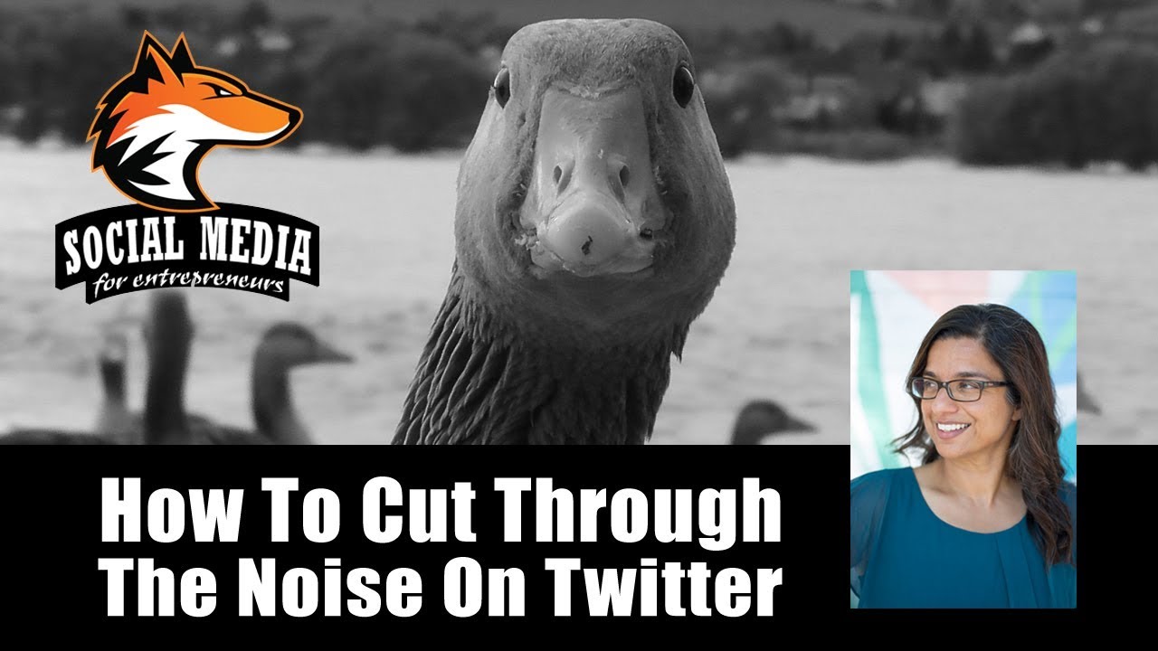 How To Cut Through The Noise On Twitter YouTube how-to-cut-through-the-noise-on-twitter-youtube