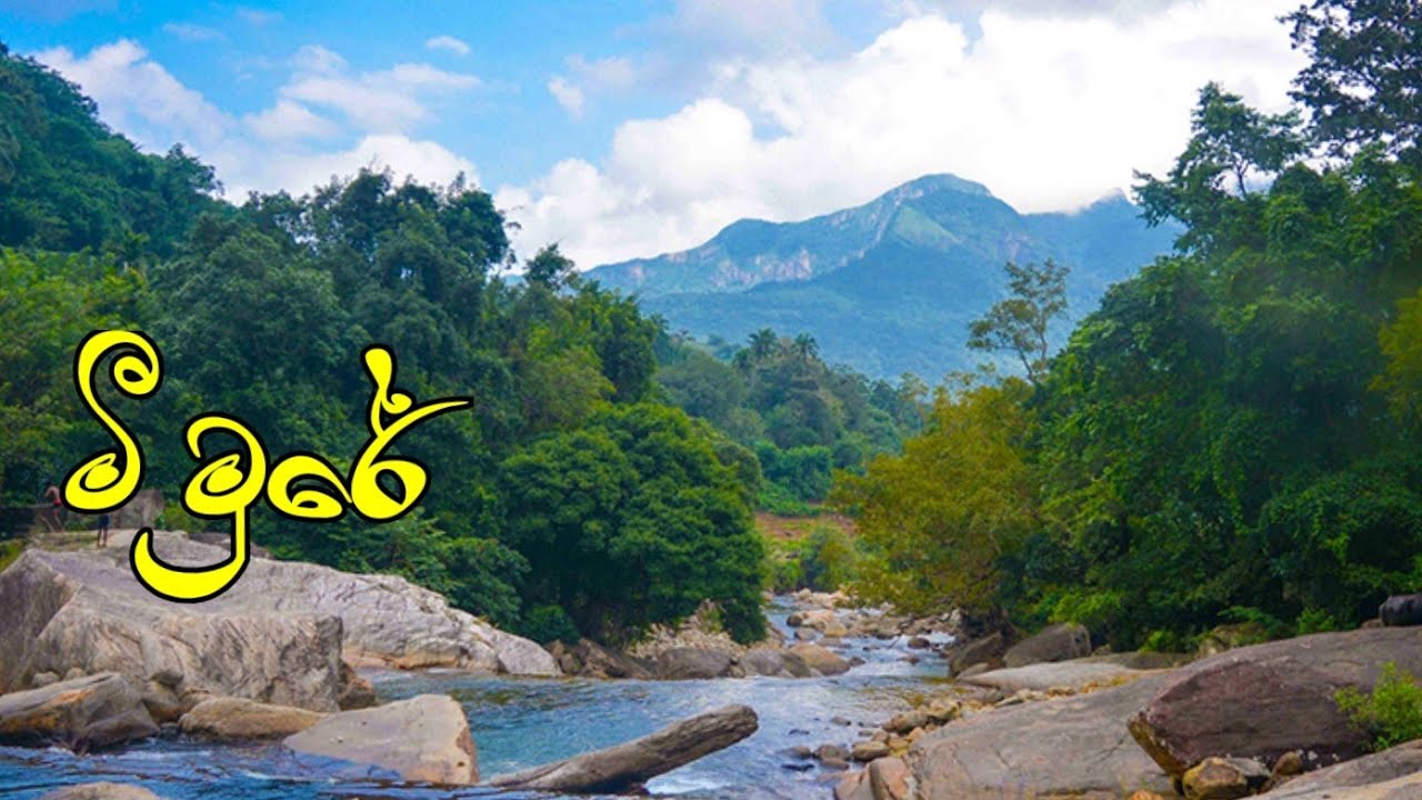 mee mure මී මුරේ - YouTube