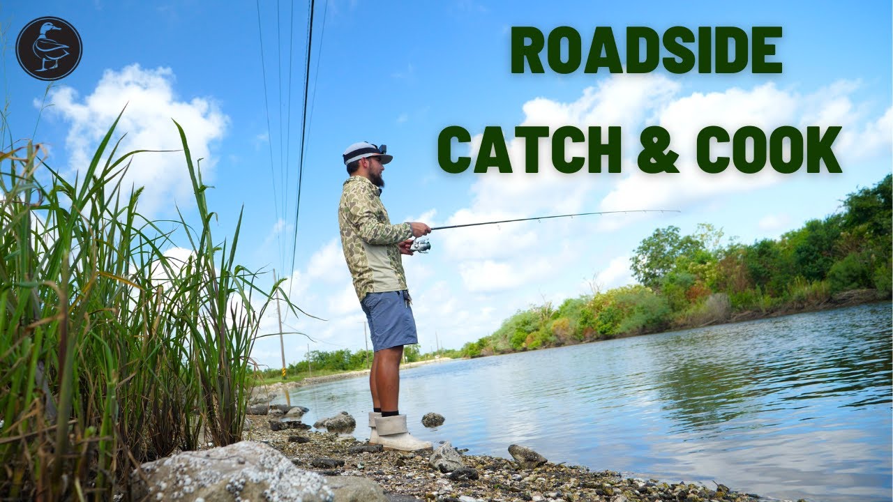 Fishing & Crabbing From a Roadside Ditch (CATCH, CLEAN, COOK!) - YouTube