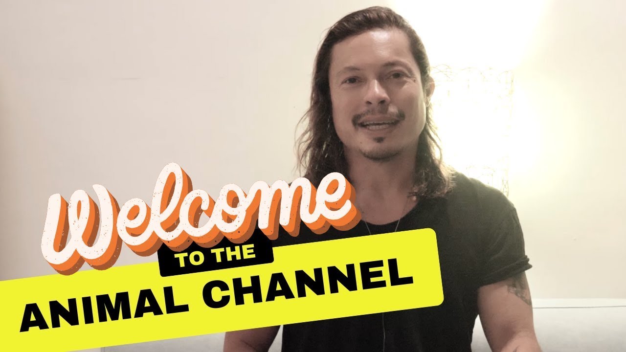 Animal Channel Intro Video - YouTube