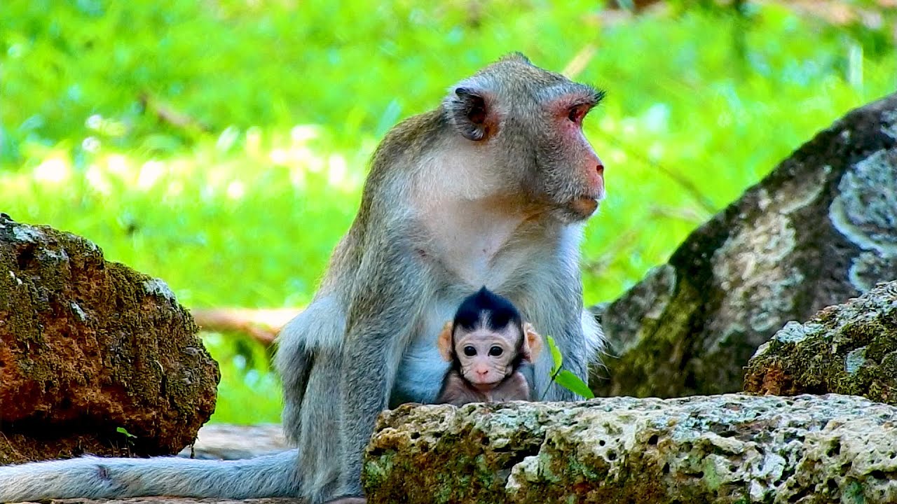 ///Super Cute Baby Jon//..na - YouTube