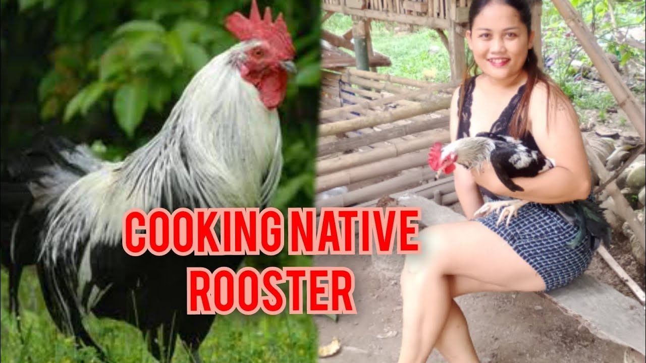 COUNTRY SIDE LIFE: BUTCHERED NATIVE GREEN ROOSTER -MOMMY GRACE VLOG - YouTube