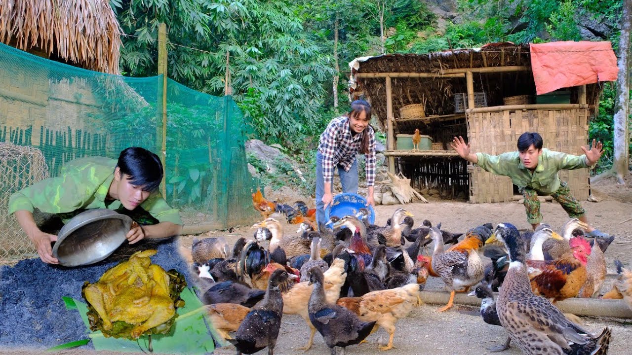 Raising chickens and ducks and how to make elaborate grilled chicken ...