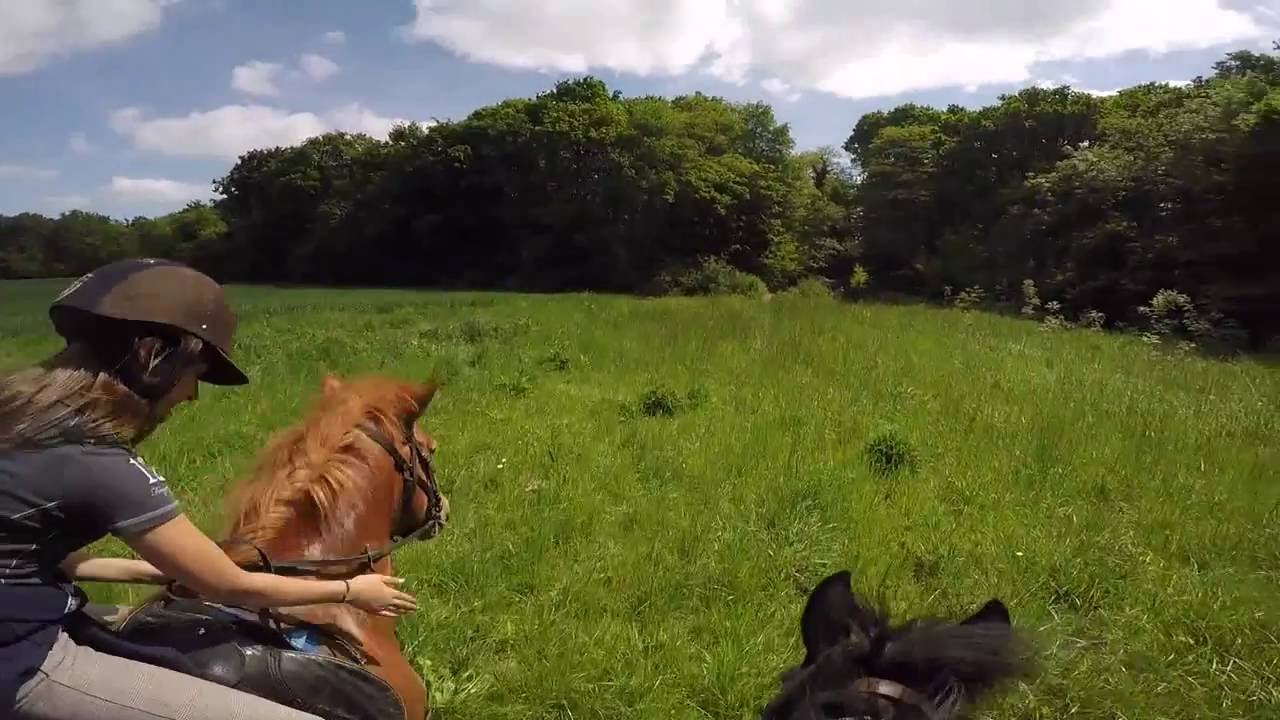 Galop à cheval dans les champs - YouTube