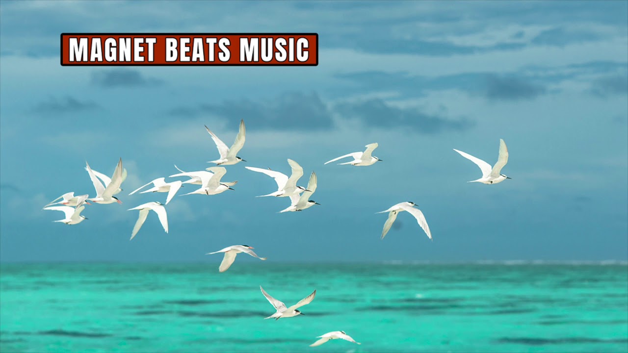 "BIRDS" Instru Rap - Pista de Rap - Rap Type Beat - Base de Rap - Hip ...