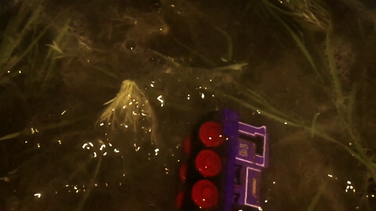 Duncan Gets Spooked - YouTube