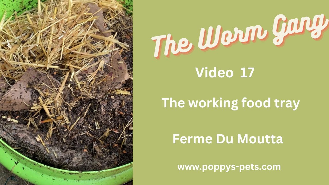 Video 17: Winter Damp Effects in the Working Food Tray with the Ferme ...