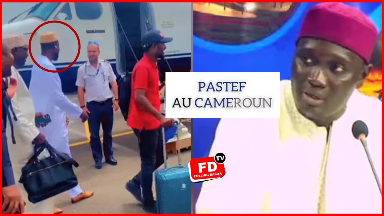 Cheikh Barra Niane annonce une exclusivité sur Sonko (Cameroun dagno ...