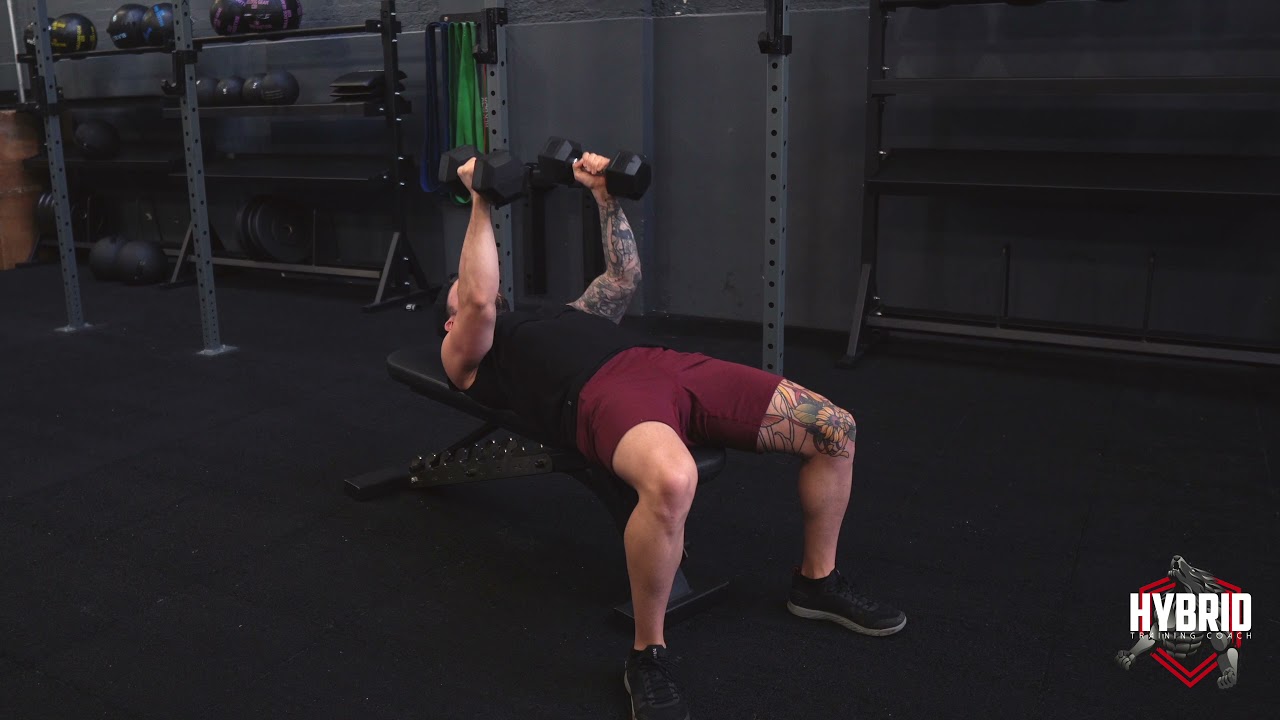 BENCH PRESS - NEUTRAL GRIP - DUMBBELLS - YouTube