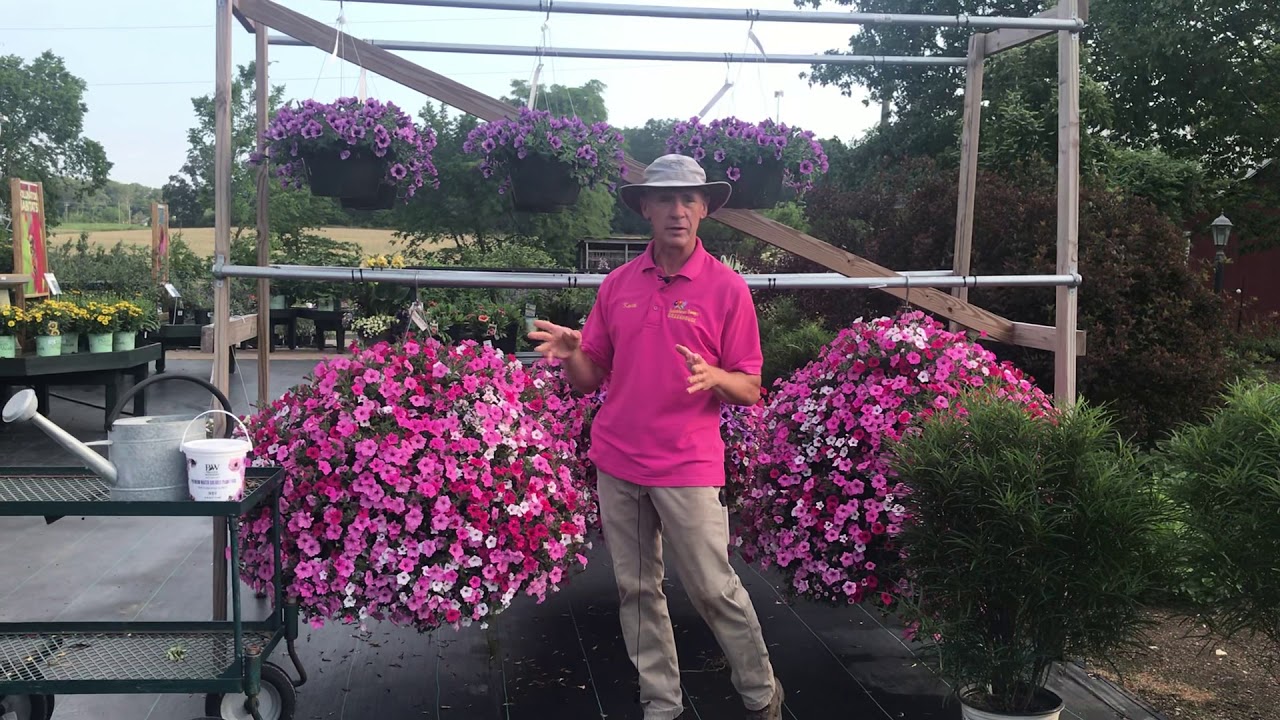 Watering Tips at Scheiderer Farms! - YouTube