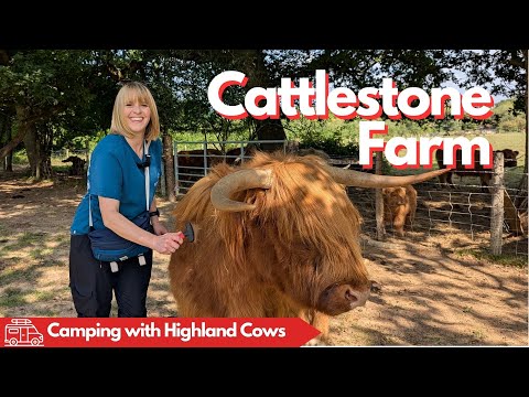 Grooming Highland Cows at the Best Campsite For Close En-cow-nters!