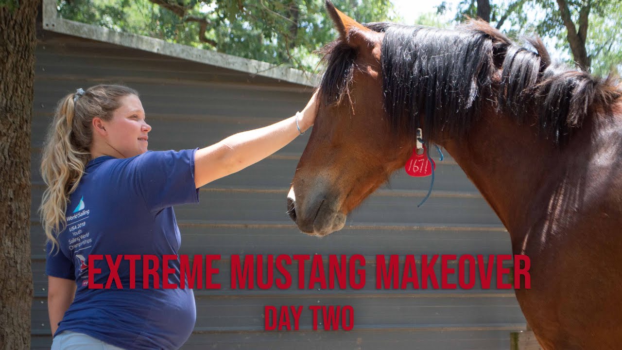Extreme Mustang Makeover | Day Two - YouTube