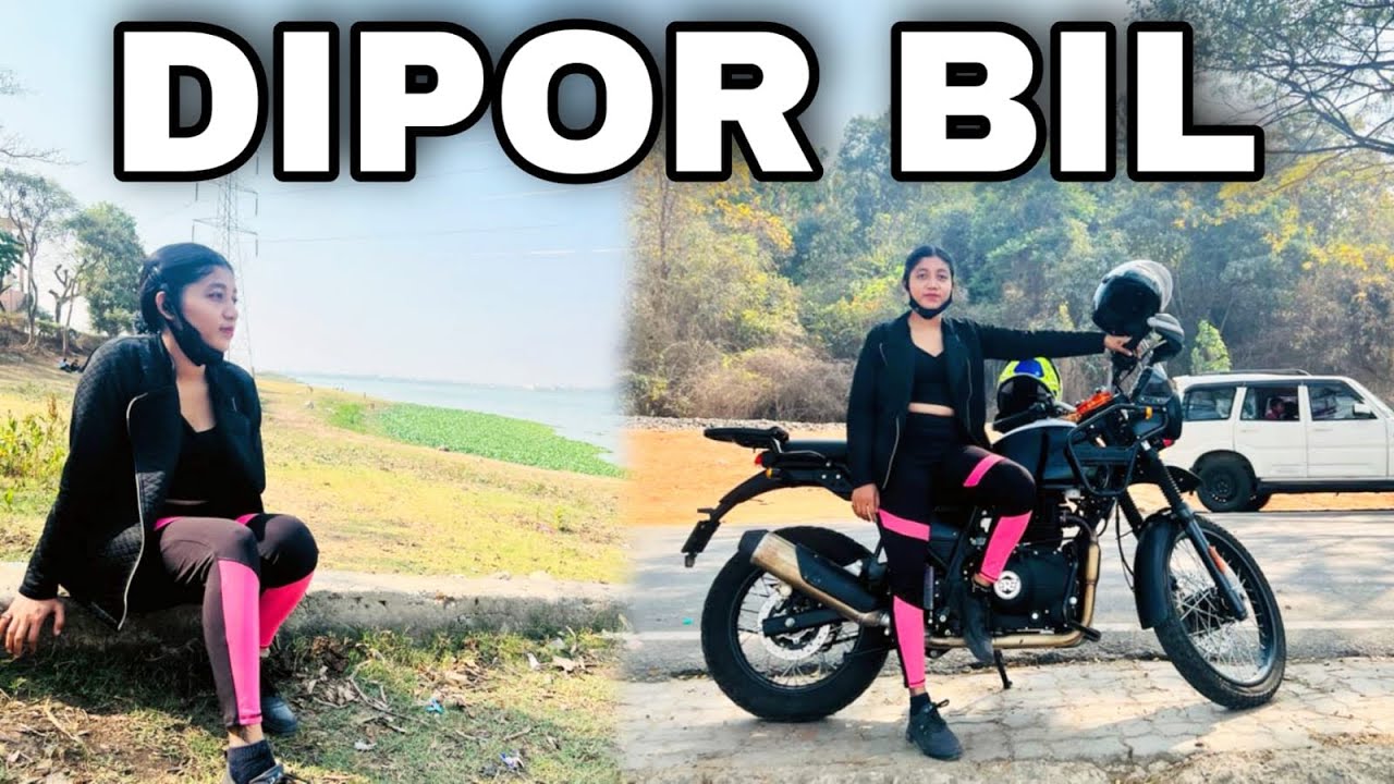 Dipor bil 2023 - YouTube