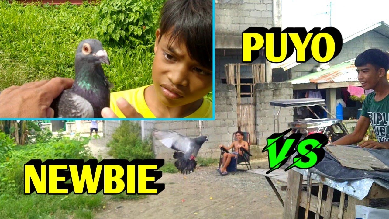 Takbuhan na naman loft to loft street race - YouTube