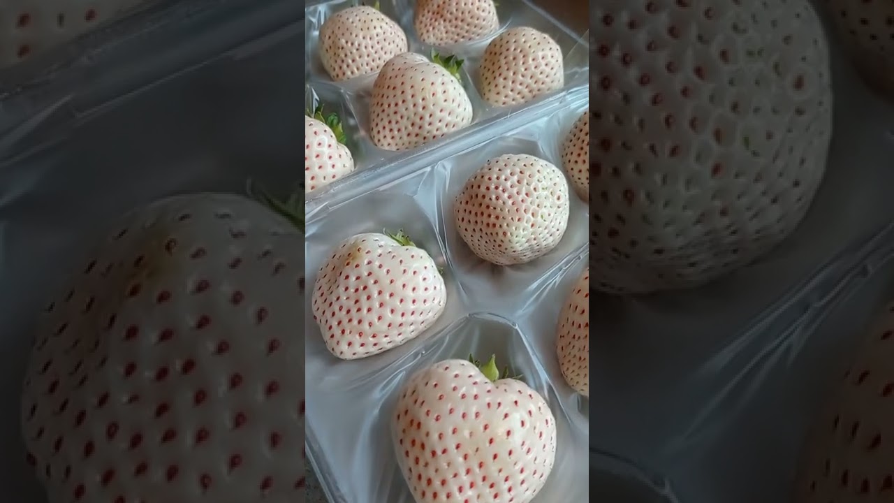 3 colors of strawberries - YouTube