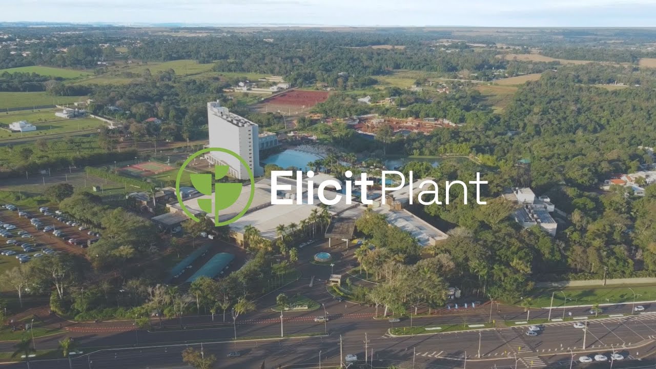 The Elicit Summit 2023 in Brazil - (ENG/PT-BR) - YouTube