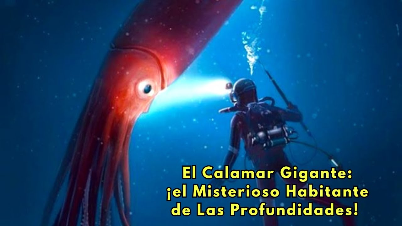 El Calamar Gigante: ¡el Misterioso Habitante de Las Profundidades ...