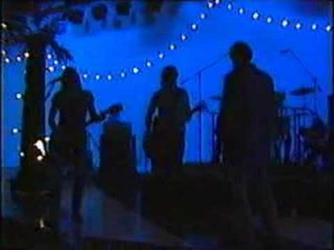 Wonderful life (live) - The Celibate Rifles - YouTube