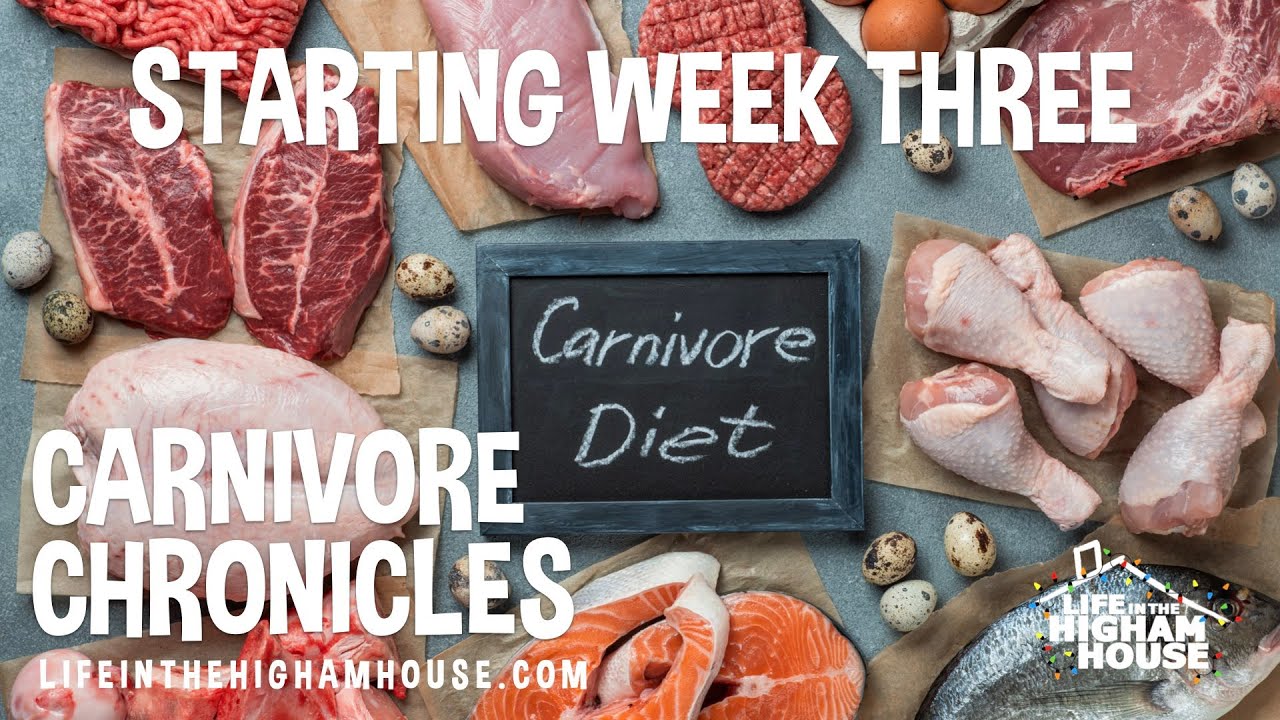 Carnivore Chronicles EP 2 - YouTube