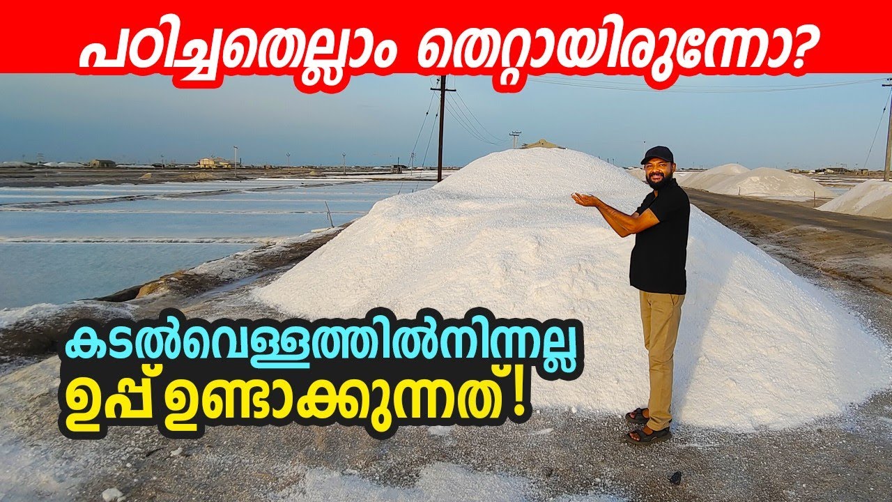 ഉപ്പ് ഉണ്ടാക്കുന്നത് എങ്ങനെയാണെന്ന് അറിയാമോ.?How to make salt?making ...