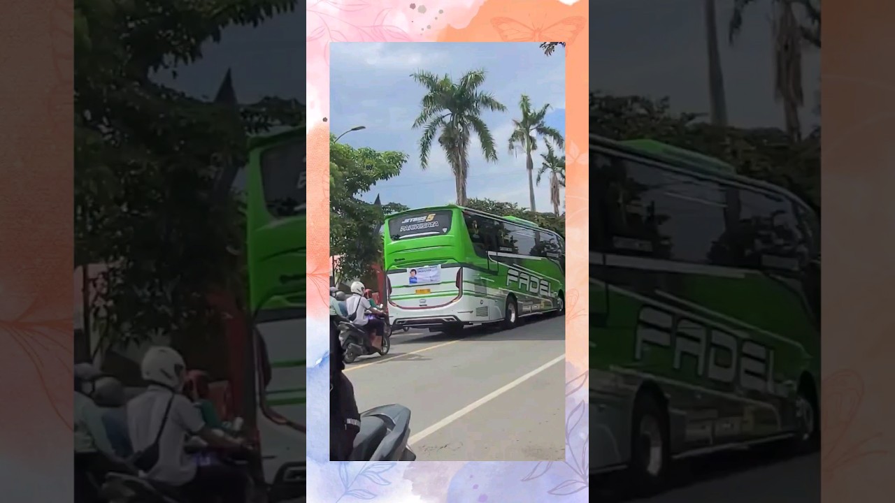 Ketemu bis artis basuri MAUDI JB5 di jalan #shorts #adiyes #bustelolet ...