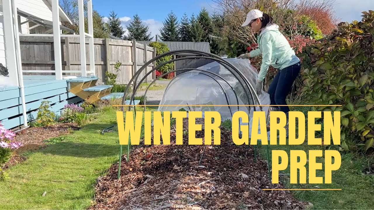 Garden prep for winter, unfinished compost, netting frame structure ...